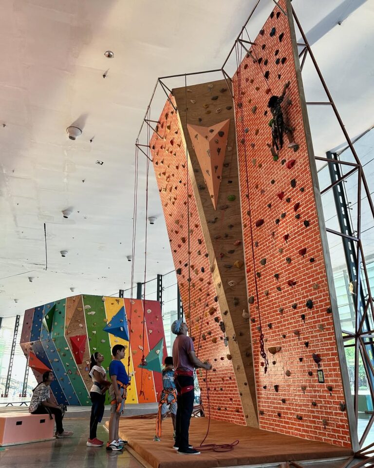 DELHI ROCK – Delhi's home for movement